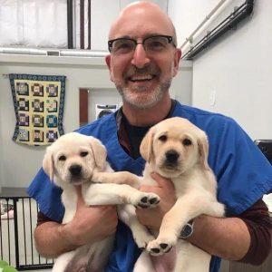 体型越大越短命，人和狗都是这样 – 环球科学